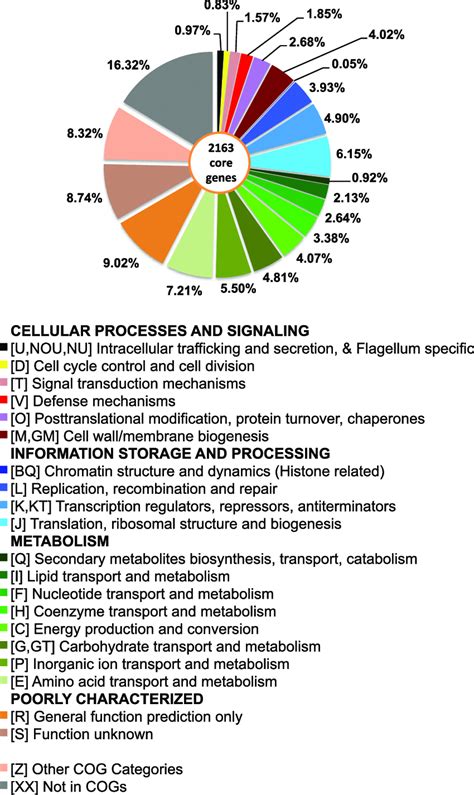 Cog Functional Classification Of Cc30 S Aureus Core Genome Download