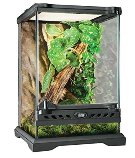 Tarantula Habitat 20 Awesome Tarantula Enclosures To Inspire You Images Tarantula Heaven