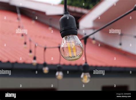 A Small Globe Shaped Edison Style Led Bulb Which Has Orange Color