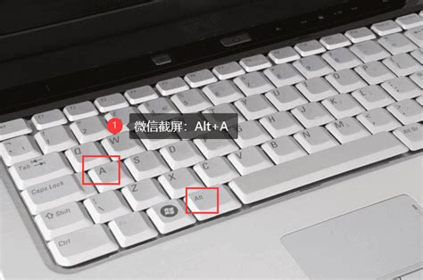 电脑怎么截图？进来看（8种常用截图方法） 知乎