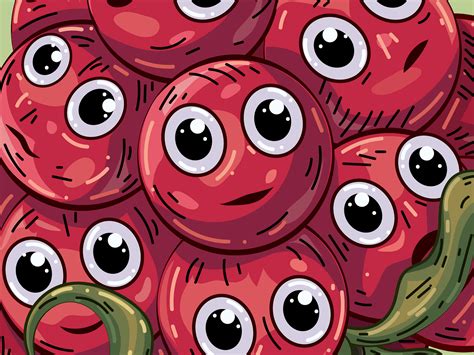 Raspberry Character Design Fun Fruit By Anna Barbur On Dribbble