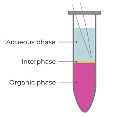 How To Extract Rna From Trizol Zymo Research