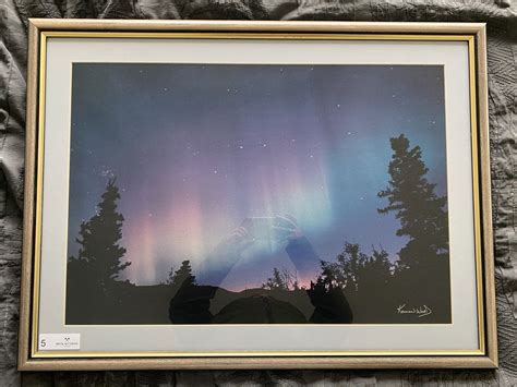 Kennan Ward Northern Lights Art Photograph 32 X 24 Beck Auctions Inc