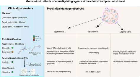 Clinical And Translational Science Vol 17 No 11