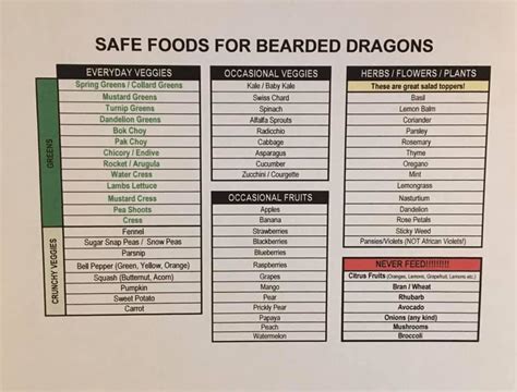 Daily Routine Printable Bearded Dragon Food Chart Printable Calendars
