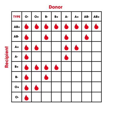 Blood Donation Charts And Graphs
