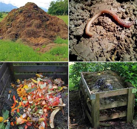 Compost Bin Definition Dictionary At Will Cobb Blog
