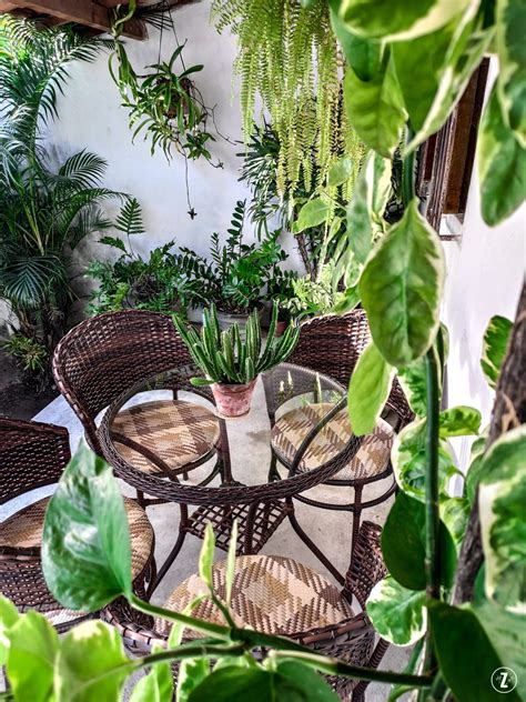 O Czym Należy Pamiętać Wystawiając Latem Rośliny Na Balkon Zazieleni