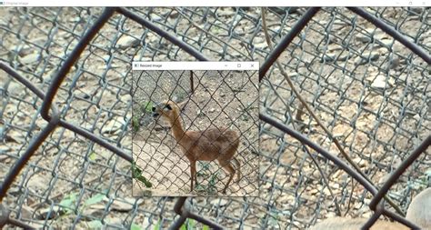 Watermark Images Using OpenCV How To Mark An Image With OpenCV Datapeaker