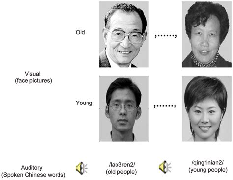 Example Visual And Auditory Stimuli Download Scientific Diagram