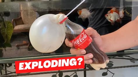 Experiment Coca Cola Mentos Balloon 🎈 Youtube