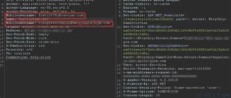 【免杀】c2免杀技术（四）shellcode分离加载 Cn Sec 中文网