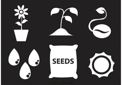 Seedling Vector Art Icons And Graphics For Free Download