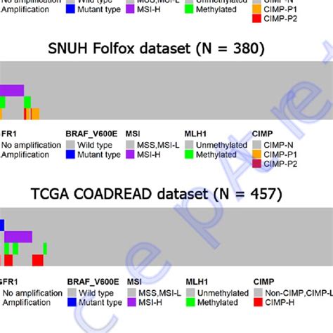 mutual exclusivity of fgfr1 amplification with braf mutation download scientific diagram