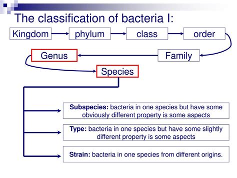 Ppt 3 Physiology Of Bacteria Powerpoint Presentation Free Download
