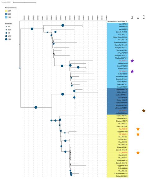 Genomic Characterization And Phylogenetic Analysis Of The First Sars