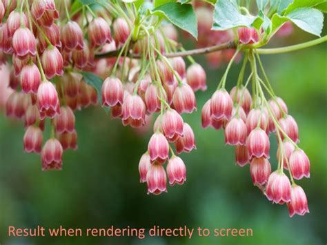 C Rendering A Second Pass Yields A Different Result Stack Overflow