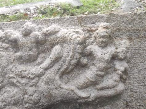 Lyra සිංහ වංශයේ පුනරාගමනය