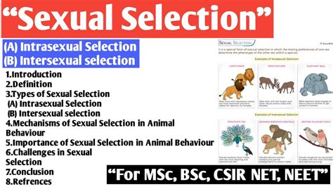 Sexual Selection Intrasexual Selection Intersexual Selection Importance And Challenges Youtube