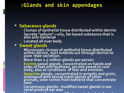 Histology Skin Part PPT