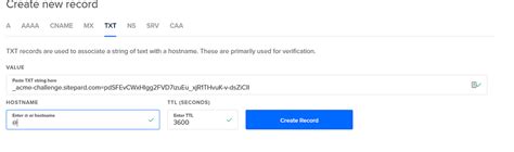 Creating The Correct Txt Entry Help Lets Encrypt Community Support
