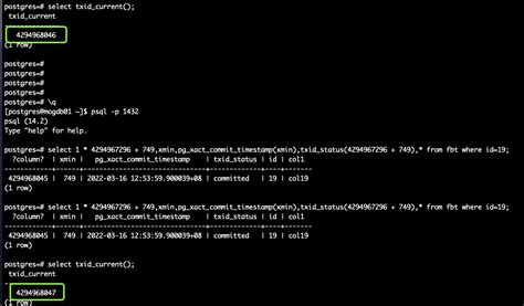 postgresql 中 xid 与 txid 墨天轮