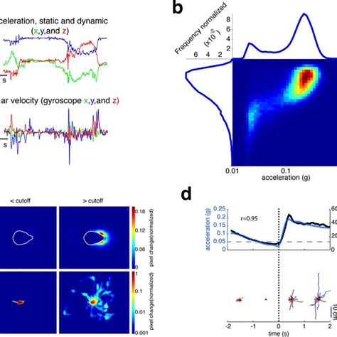 Comparison Between Video Motion Analysis And Motion Sensor Data In The Download Scientific