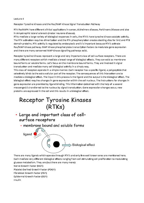 Receptor Tyrosine Kinases And The Ras Map Kinase Signal Transduction Pathway Lecture 6 Lecture