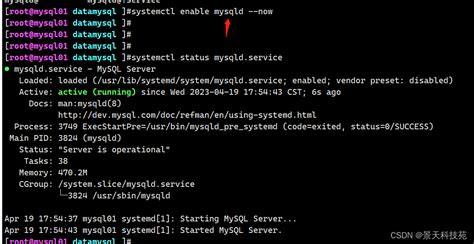 linux安装mysql8 0，密码修改权限配置等常规操作详解 mysql8修改用户权限 csdn博客