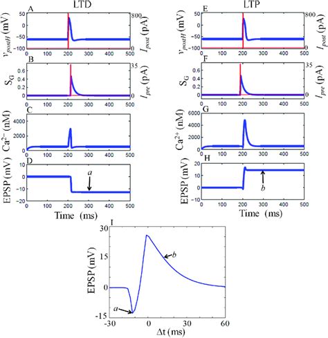 Time Series Of Variables For Stdp Without Grn In Simulation We Apply