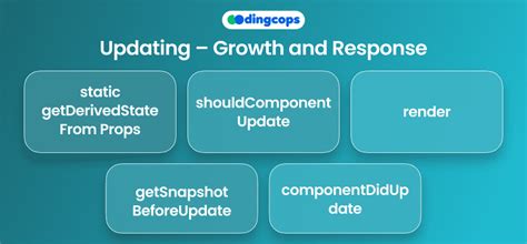 React Lifecycle Methods Explained A Beginner S Guide CodingCops