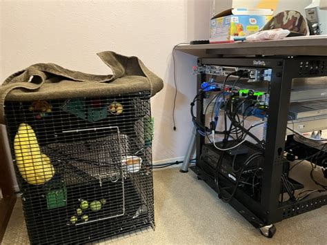 Proxmox Opnsense Question On Proxmox Being On Same Lan As Opnsense