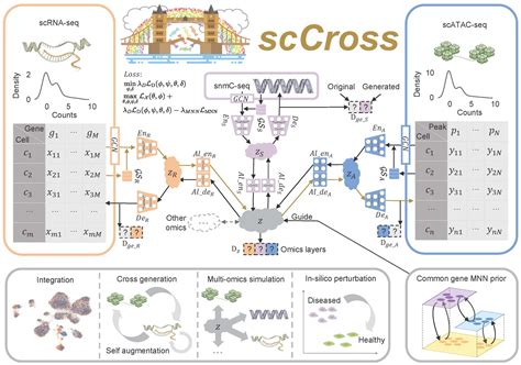 Introducing Sccross A Deep Generative Model For Unifying Single Cell Multi Omics With Seamless