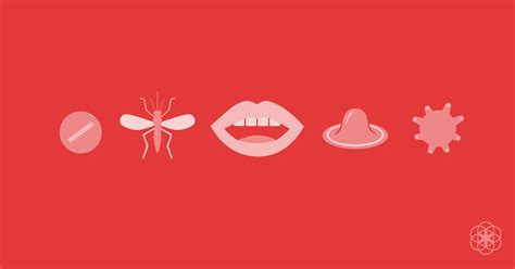 ორალური სექსი — შესაძლო რისკები და თავის დაცვა • ფემეა