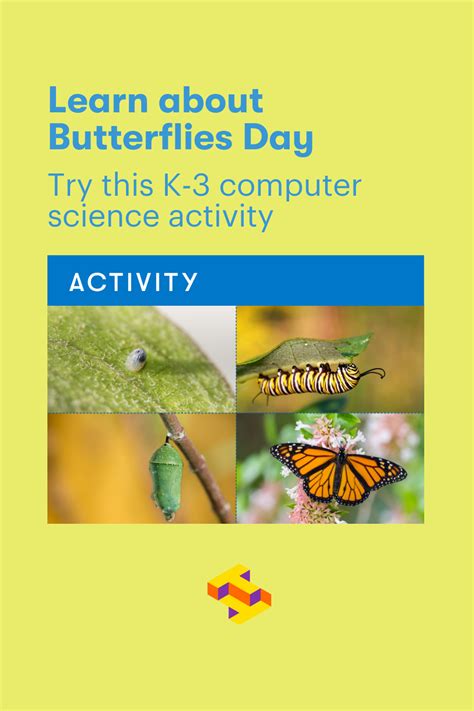 Butterfly Algorithms Lesson Teacher Activities Lesson Teaching