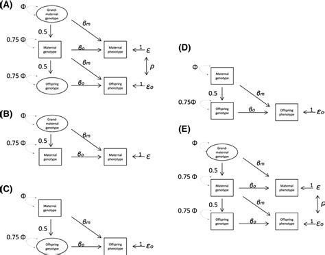 Path Diagrams Illustrating The Sem Used To Perform Asymptotic Power