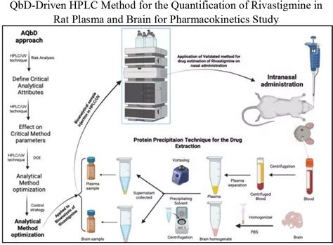 Qbd Driven Hplc Method For The Quantification Of Rivastigmine In Rat Plasma And Brain For