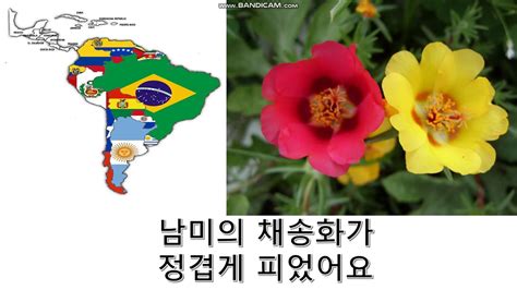 다문화 친구 Youtube