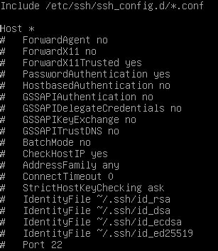Servicio SSH En Linux Lathack