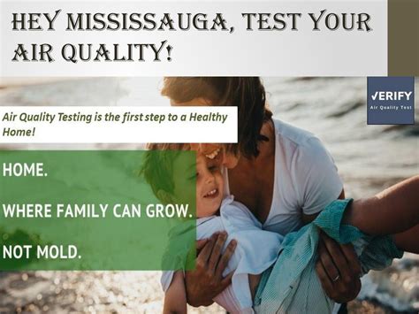 Air Quality Test Mississauga Mold Inspection Mississauga By Verify Air Quality Testing Issuu