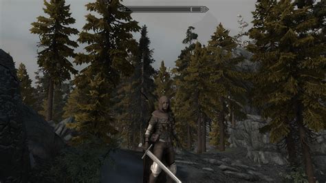 Ranger Build Showcase Rskyrimbuilds