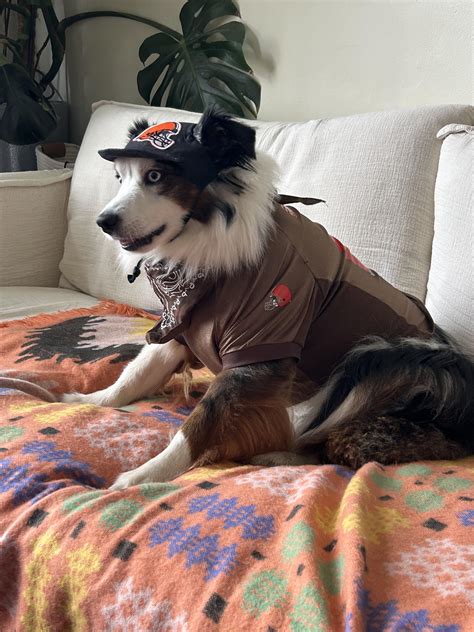 Murphys Locked In Rbrowns