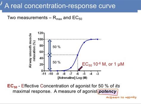 Drug Action At Receptors Affinity And Concentration Response Curves
