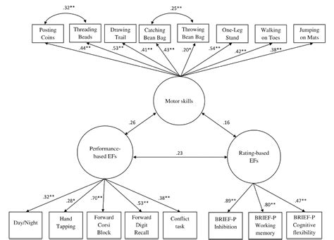 Figure 1 From Task Specific And Latent Relationships Between Motor