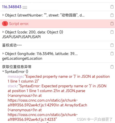 2024 06 25 工作日常 通过json parse 进行转换时发生报错 expected property name or