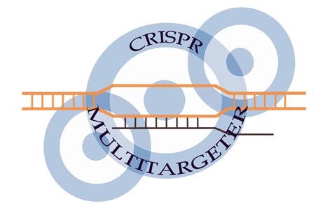 Simple Crispr Guide Rna Target Search In Input Sequence S
