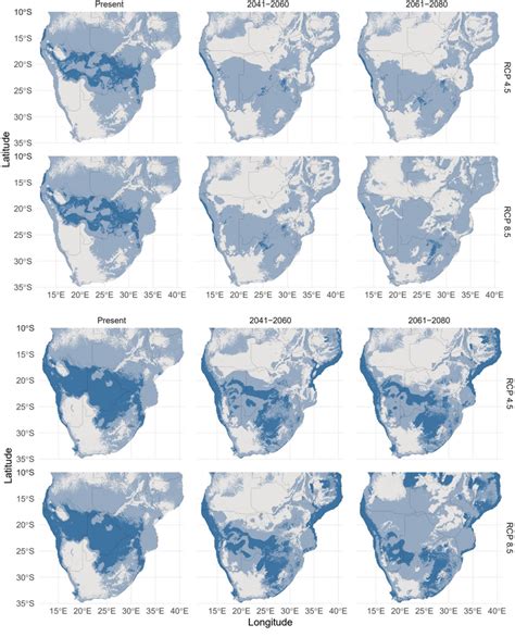 Top Bayesian Network Species Distribution Models Of G Belina With