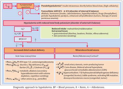 Disorders Of Potassium Homeostasis Hypokalemia And Hyperkalemia