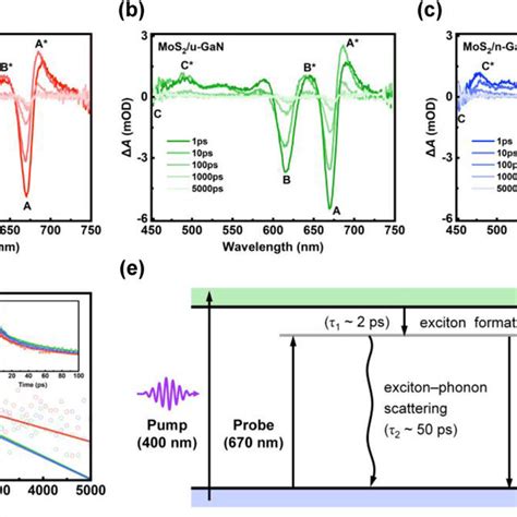 Effect Of The Differently Doped Gan On The Raman Modes Of Monolayer