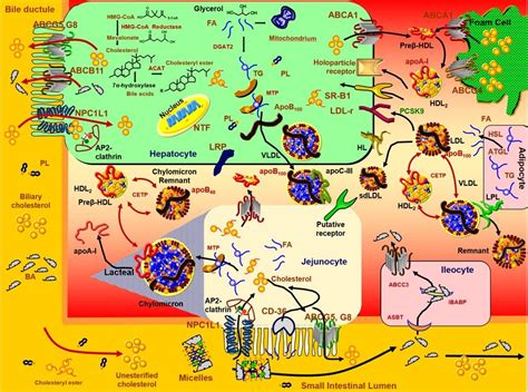 Another Goody This Is The Ultimate Master Slide For Those Trying To